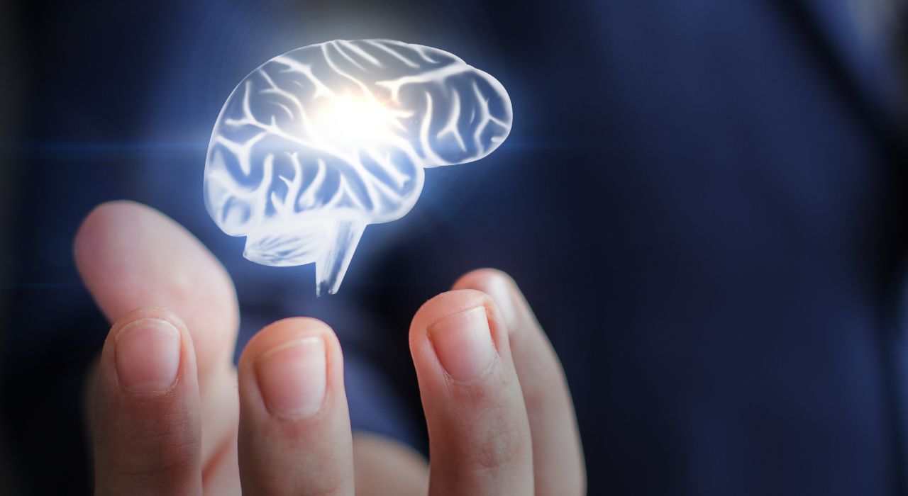 Facts About Cats Exciting Facts About Cat’s Mind (2024) - Patz meow