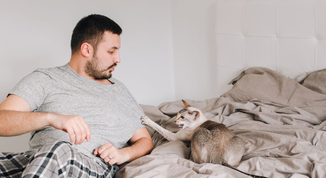 Why is My Cat Attacking Me? (2024) - Patz meow